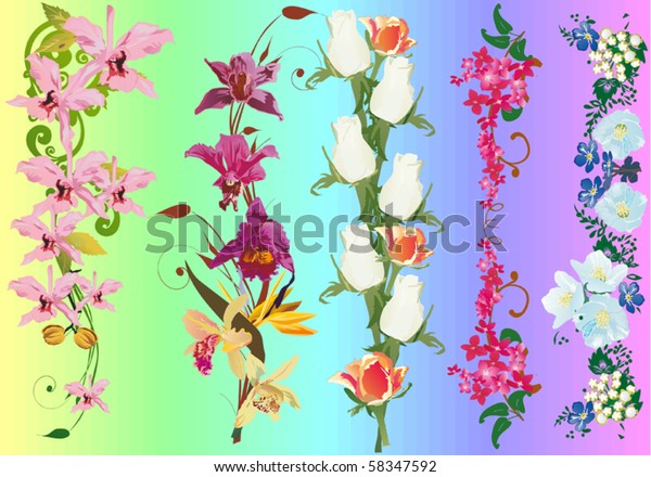 Illustration Flower Strips Collection Stock Vector (Royalty Free ...