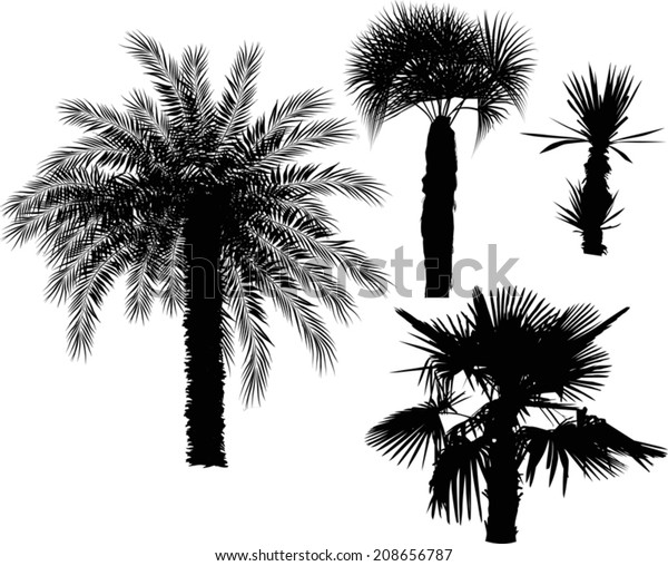 Illustration Four Palm Trees Isolated On Stock Vector (Royalty Free ...