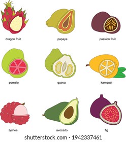 Illustration Fruits Chart Vector Design Stock Vector (Royalty Free ...