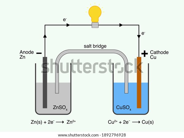 Illustration of galvanic cell consists of zinc and copper.
