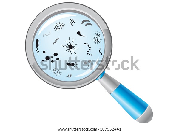 Illustration Germs Bacteria Under Magnifying Glass Stock Vector ...