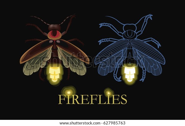 Ilustración de luciérnagas brillantes: vector de stock (libre de ...