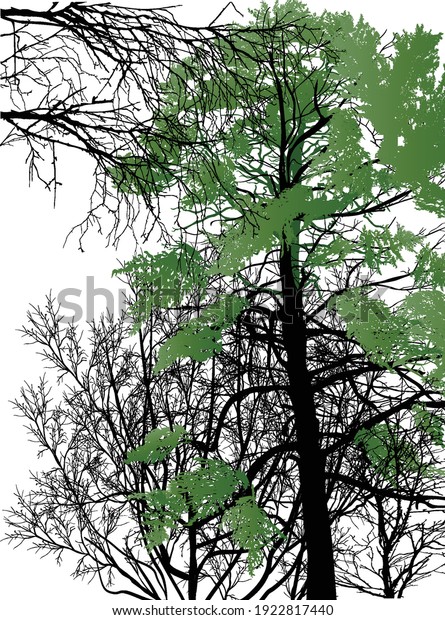 Illustration Green Tree Black Forest Isolated Stock Vector (Royalty ...