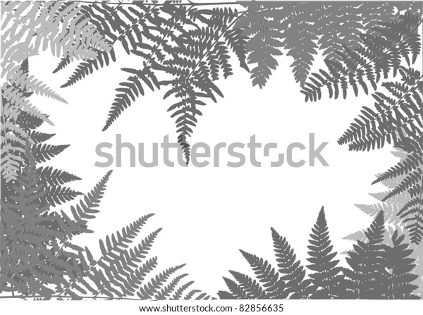 Illustration Grey Fern Frame Stock Vector (Royalty Free) 82856635 ...
