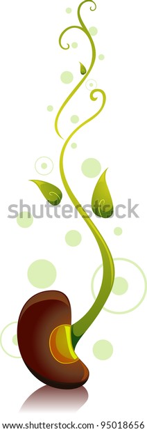Illustration Growing Bean Sprout Stock Vector (Royalty Free) 95018656