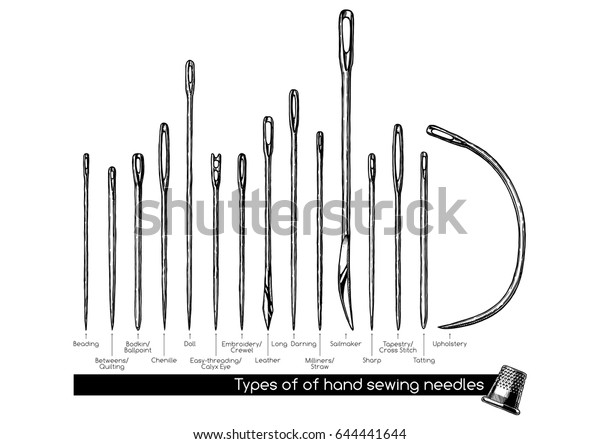 Illustration Handsewing Needles Types Beading Betweens Stock Vector ...