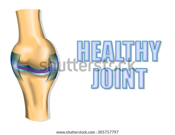 Illustration Healthy Joint Cutaway View: vetor stock (livre de direitos ...
