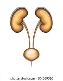 4,678 Bladder logo Images, Stock Photos & Vectors | Shutterstock