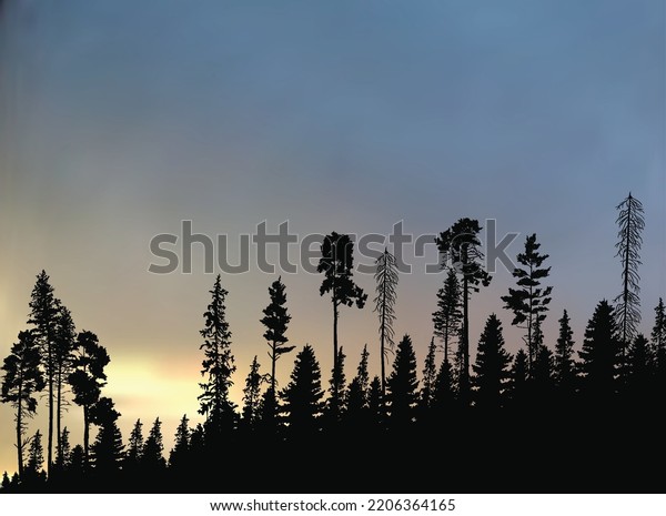 Illustration High Dark Tree Forest Sunset Stock Vector (Royalty Free ...