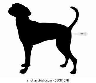 Illustration How Take Temperature Dog Stock Vector (Royalty Free) 35927809