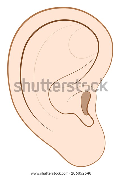 Illustration Human Right Ear Isolated Vector Stock Vector (Royalty Free ...