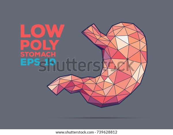 Illustration Human Stomach Faceted Lowpoly Geometry Stock Vector ...