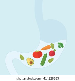 Illustration Human Stomach Vegetables Inside Healthy Stock Vector ...