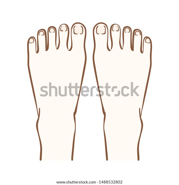 Illustration Instep Both Feet Stock Vector (Royalty Free) 1488532802 ...
