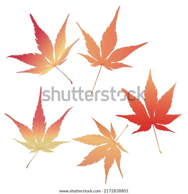 Illustration Japanese Maple Vector Illustration: เวกเตอร์สต็อก (ปลอดค่า ...
