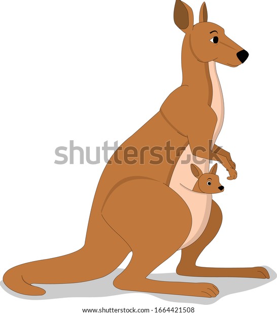 Illustration Kangaroo Side View Stock Vector (Royalty Free) 1664421508 ...