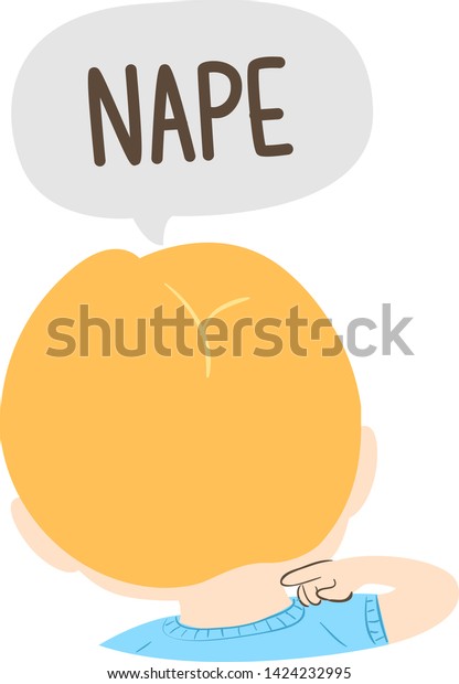 Nape를 Body Parts Series의 일부로 가리키는 스톡 벡터(로열티 프리) 1424232995 | Shutterstock