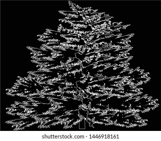 Larch Stock Vectors, Images & Vector Art | Shutterstock