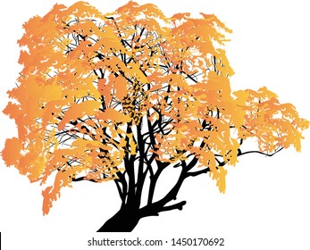 Illustration Light Yellow Fall Tree Isolated Stock Vector (Royalty Free ...