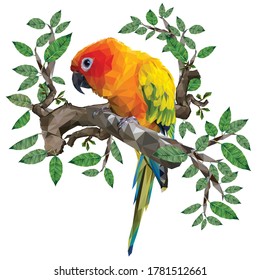 Conure Stock Vectors, Images & Vector Art | Shutterstock