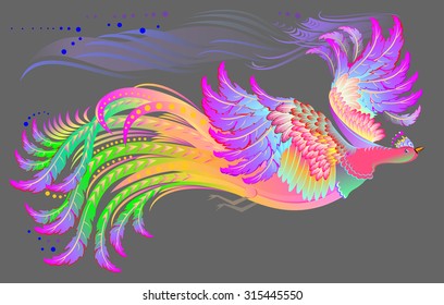 Illustration Magic Bird Vector Cartoon Image Stock Vector (Royalty Free ...