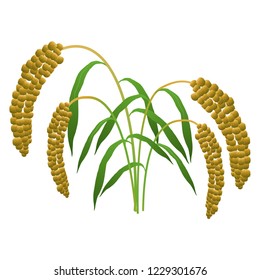 Millet Images, Stock Photos & Vectors | Shutterstock