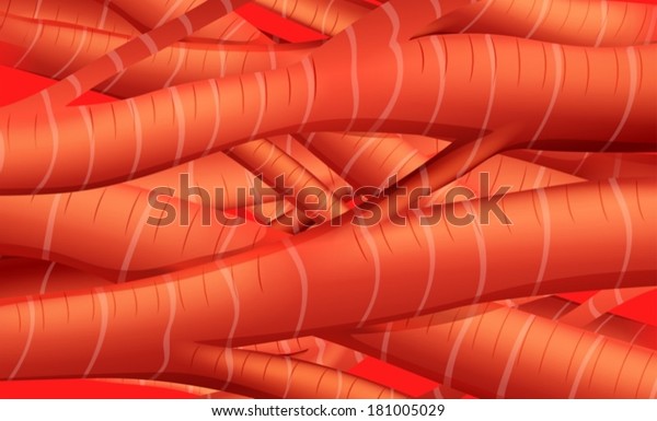 Illustration Muscle Tissues Stock Vector (Royalty Free) 181005029
