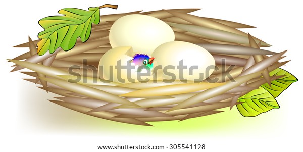 Illustration Nest Vector Cartoon Image Stock Vector (Royalty Free ...