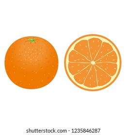 Orange Vector Illustration Stock Vector (Royalty Free) 110223860 ...