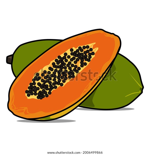 Illustration Papaya That Split Open See Stock Vector (Royalty Free ...