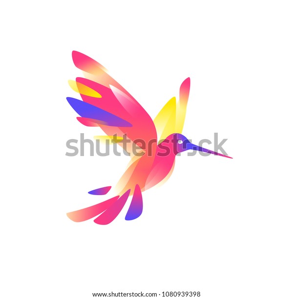 Illustration Pink Colibri Vector Illustration Image Stock Vector ...
