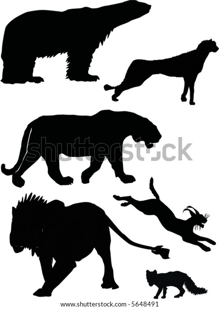 Illustration Predator Silhouettes Collection Isolated On Stock Vector ...