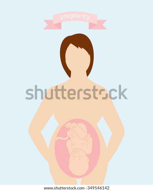 Illustration Pregnant Woman Her Fetus 스톡 벡터 로열티 프리 349546142