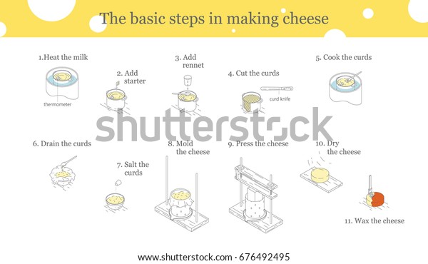 Illustration of the process of cheese production. Cooking cheese ...