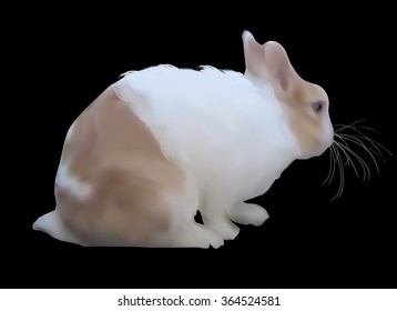 Illustration Rabbit Isolated On Black Background Stock Vector (Royalty ...
