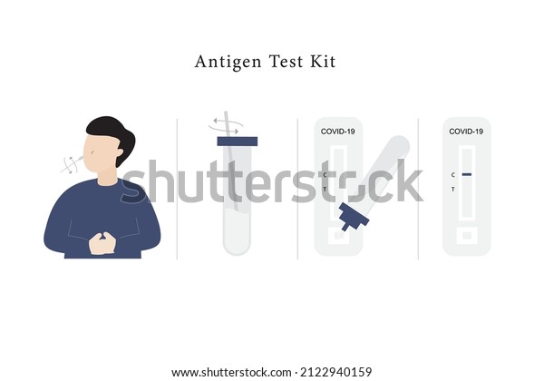 Illustration Rapid Covid19 Antigen Test Kit Stock Vector (Royalty Free ...