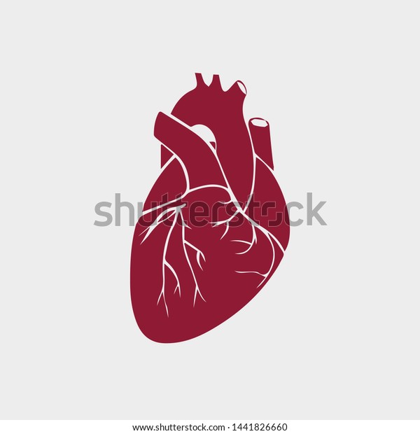 Illustration Realistic Heart Vector Stock Vector (Royalty Free) 1441826660