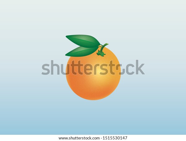 Illustration Realistic Orange Vector Orange Stock Vector (Royalty Free) 1515530147 | Shutterstock