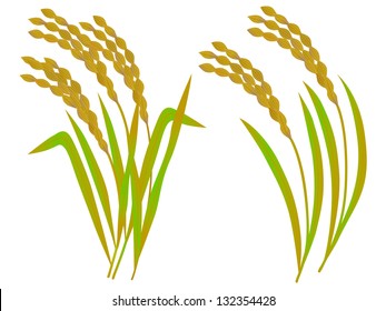 Rice Crop Symbol Rice Wheat Ears: vector de stock (libre de regalías ...