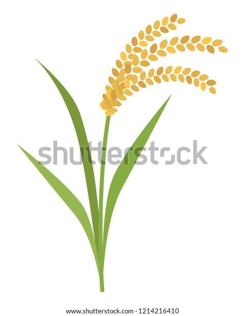 Illustration Rice Stock Vector (Royalty Free) 1214216410 | Shutterstock