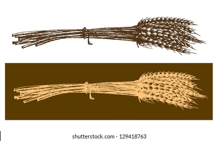 4,803 imágenes de Rice plant drawing - Imágenes, fotos y vectores de ...