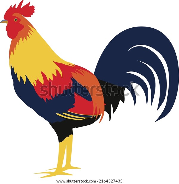 Illustration Rooster Bold Colors Stock Vector (Royalty Free) 2164327435 ...