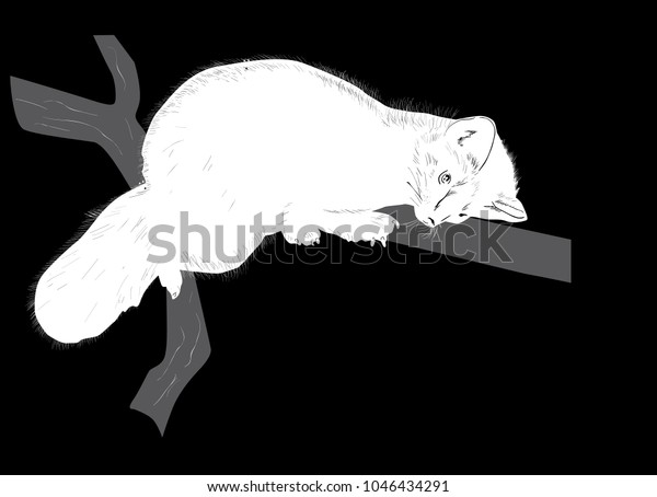 Illustration Sable Silhouette Isolated On Black Stock Vector (Royalty ...