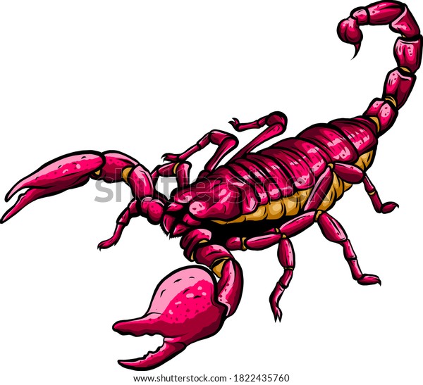 Illustration Scorpion Arachnid Insect Vector Graphics เวกเตอร์สต็อก ปลอดค่าลิขสิทธิ์