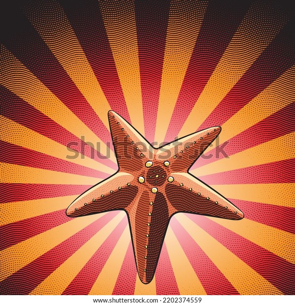 Illustration Scratchboard Engraved Starfish Over Red Stock Vector ...