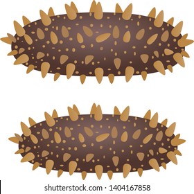 1,175 Sea Cucumber Draw Images, Stock Photos & Vectors | Shutterstock