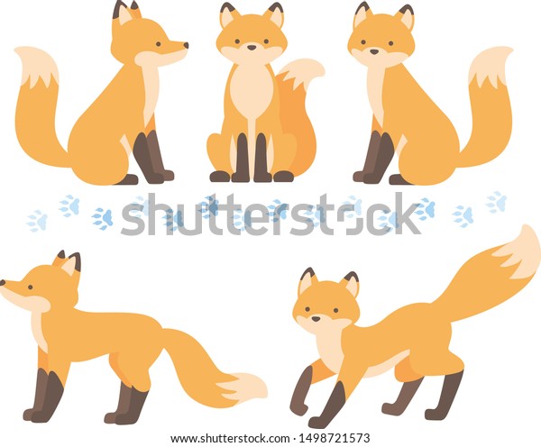 Illustration Set Fox Full Body Footprints 스톡 벡터(로열티 프리) 1498721573 ...