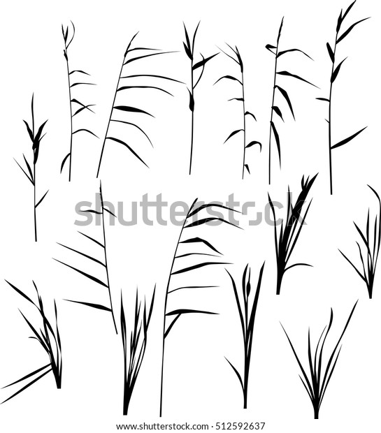 Illustration Set Reed Silhouettes Isolated On Stock Vector (Royalty ...