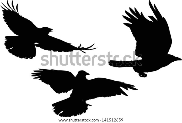 Illustration Set Three Crow Silhouettes Isolated Stock Vector (Royalty ...