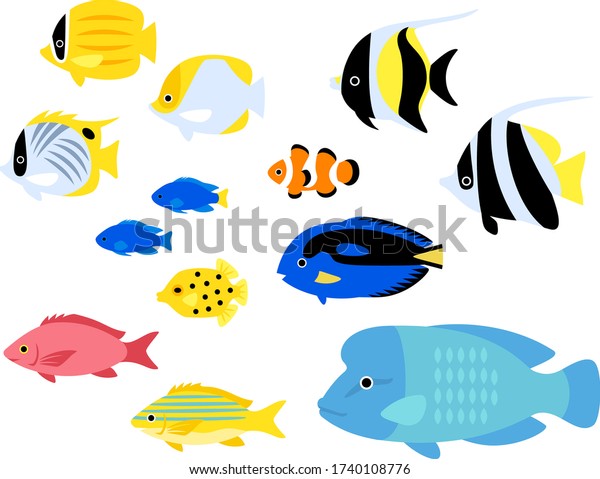 Illustration Set Various Tropical Fish Stock Vector (Royalty Free ...